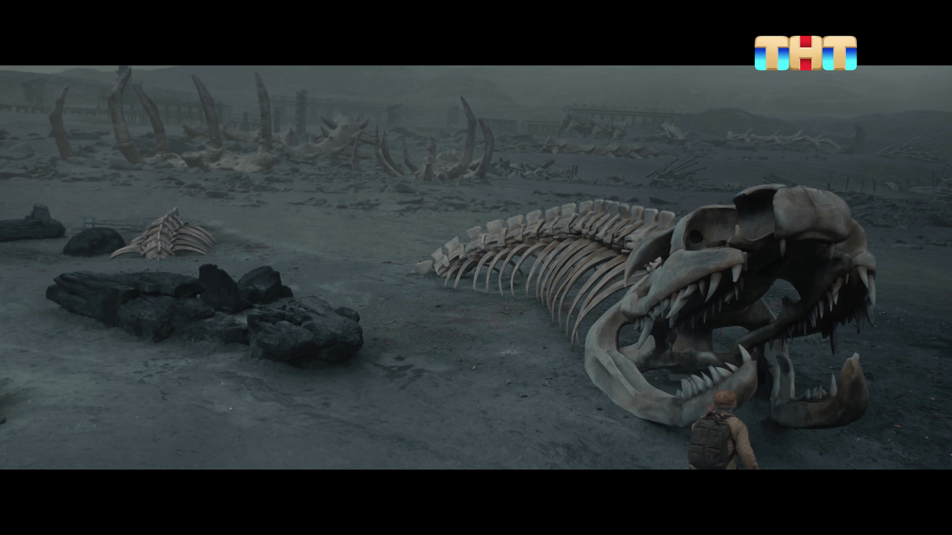 Змеи 3: Битва с драконом / Da she 3: long she zhi zhan / Snake 3 ...